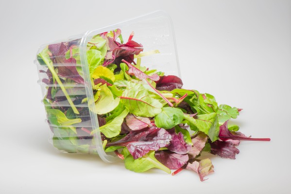 The Phenol-free AO Derived from Palm Oil – Revonox® 420V ∣ Chitec ...